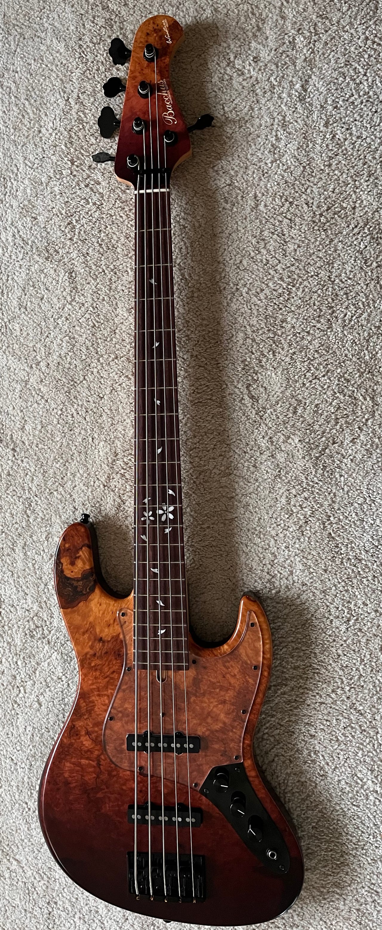 Meget sjældent Bacchus Woodline DX5 Sakura (2017) | DBA