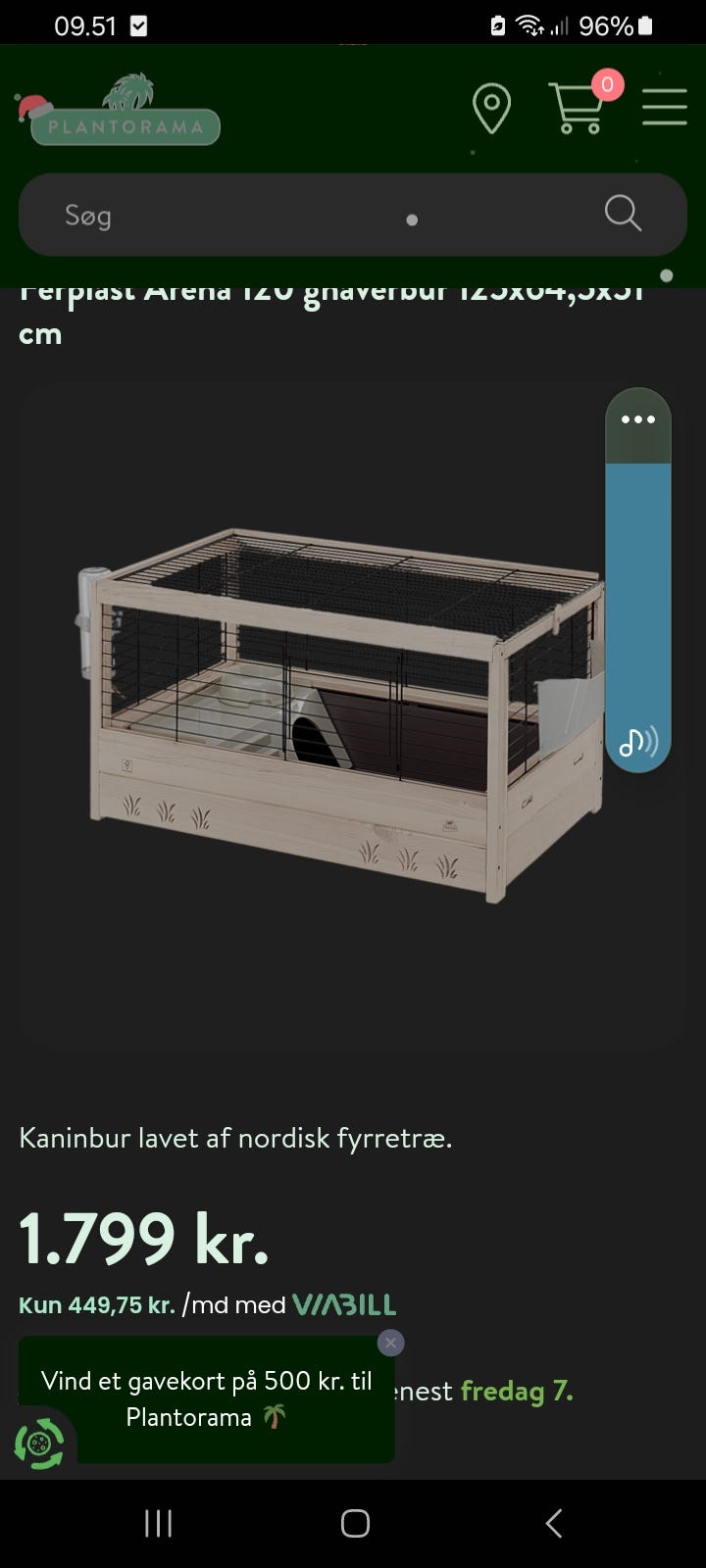 Pænt bur til marsvin | DBA