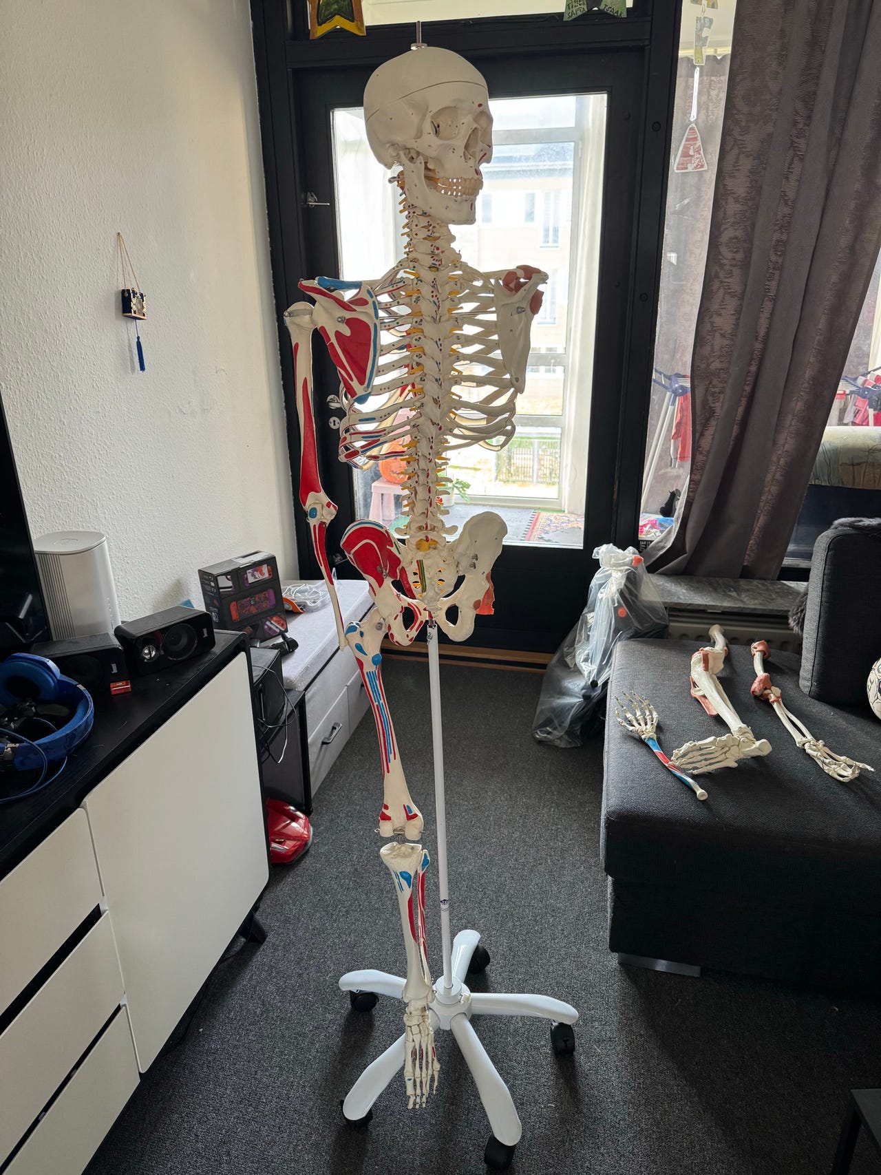 Skellet på hjul | DBA