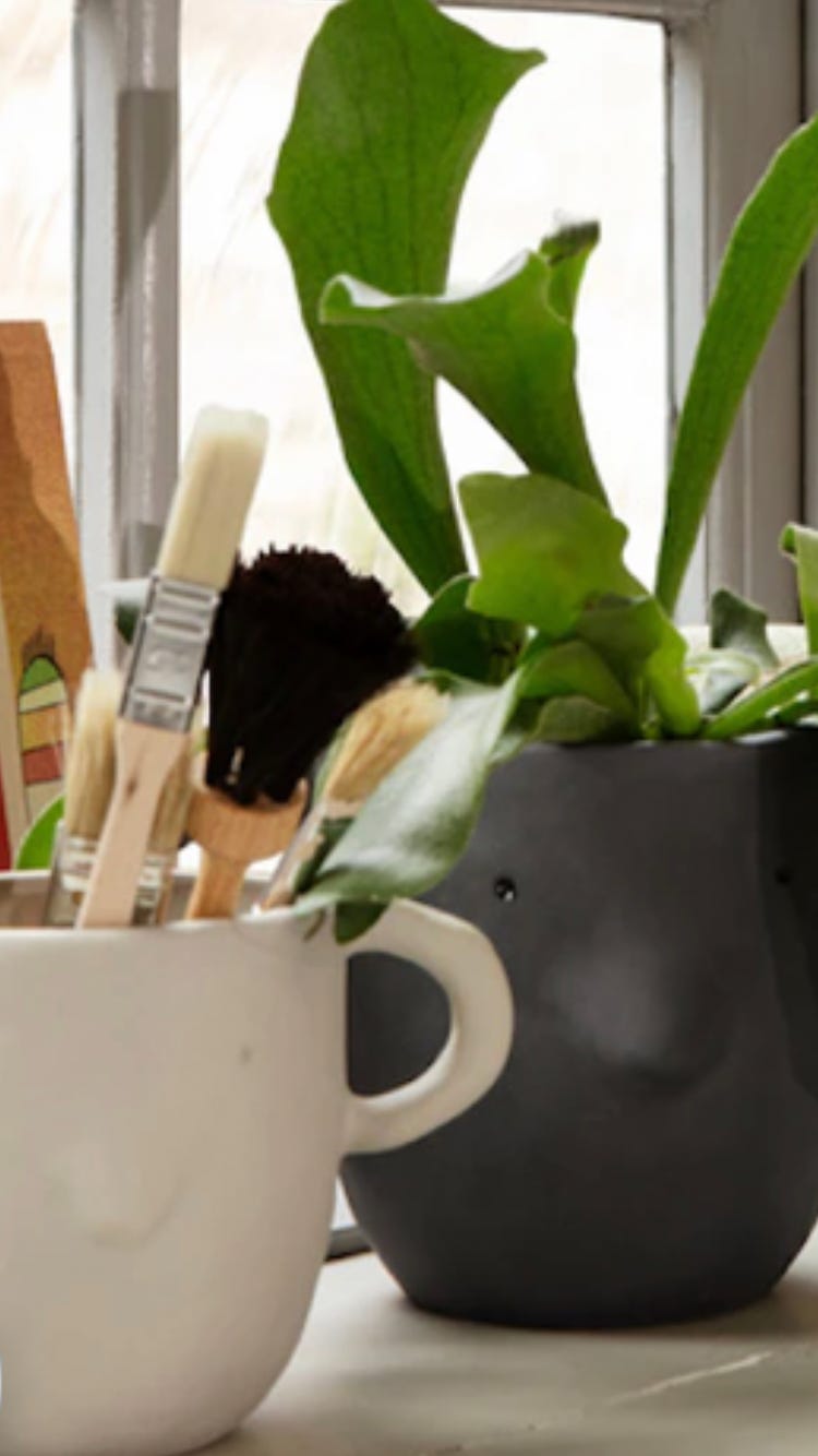 MUS PLANT POT | DBA