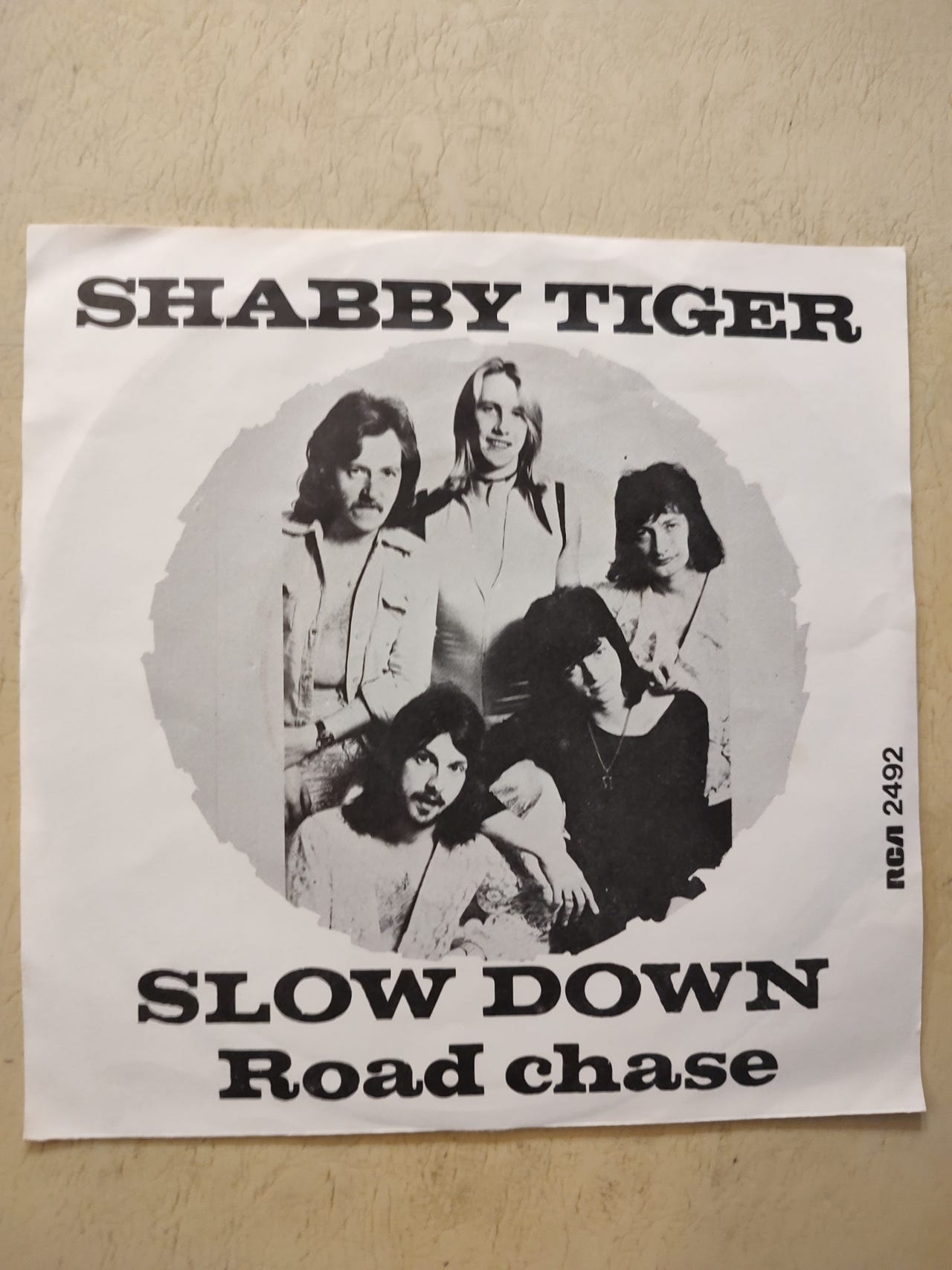 Single. Shabby Tiger - Slow Down. | DBA