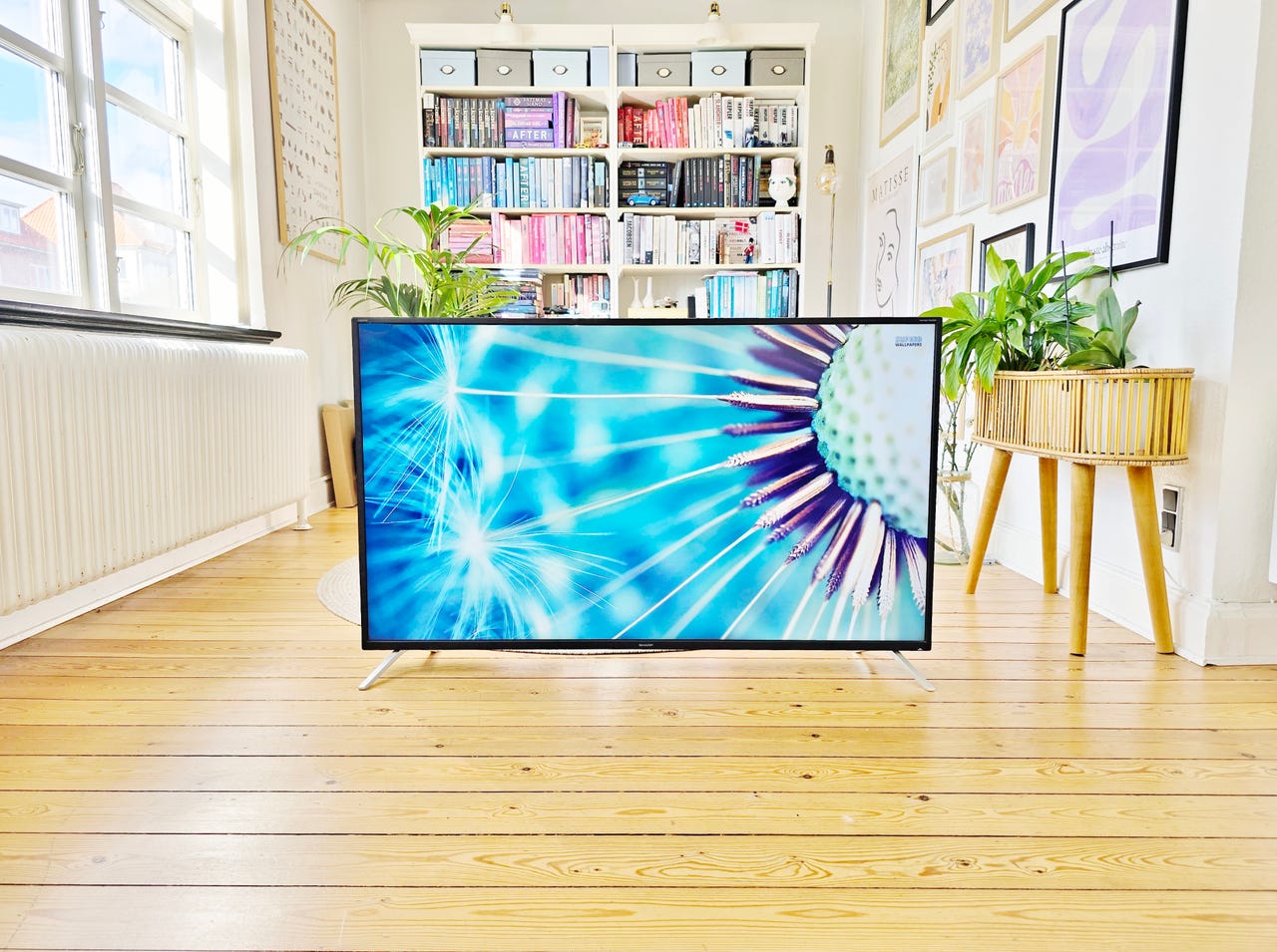 Sharp 55" 4K Android Smart TV 2024 | DBA