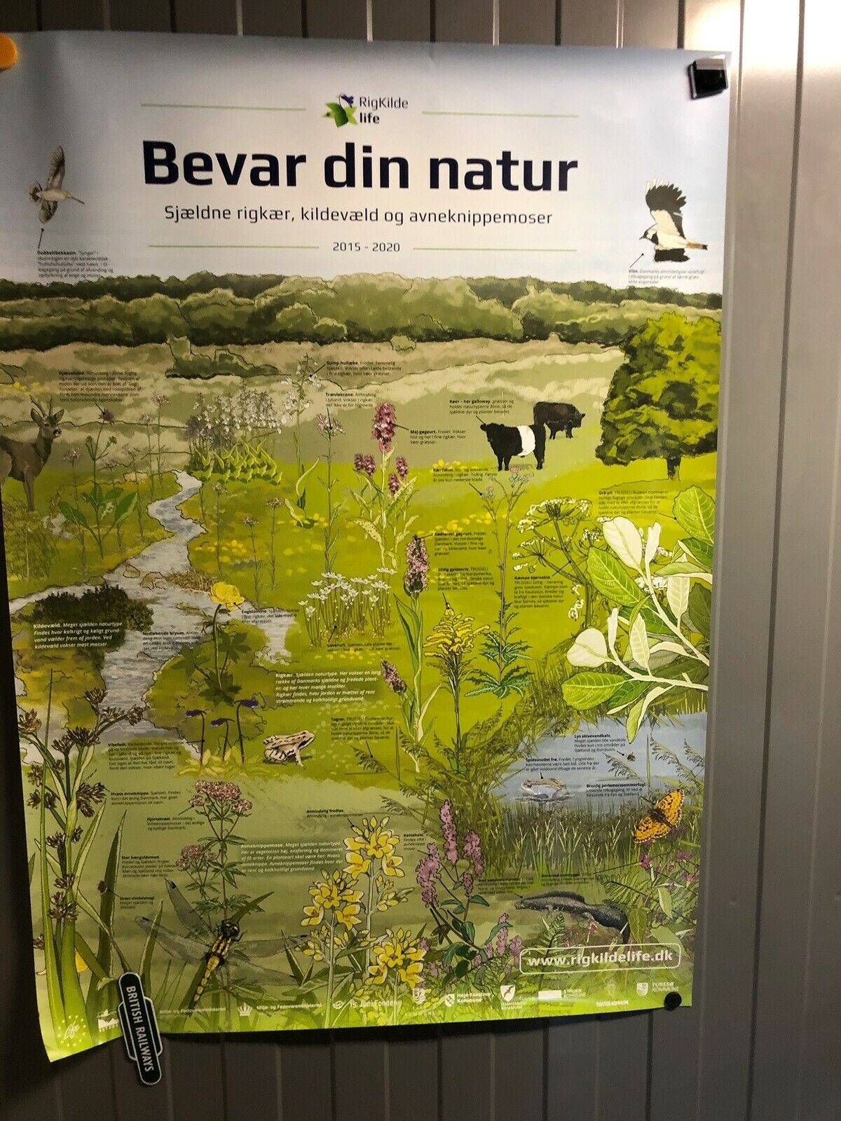 Bevar naturen plakat. | DBA