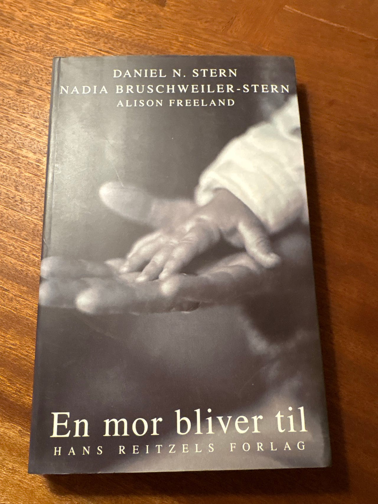 Daniel N. Stern En mor bliver til Bog | DBA