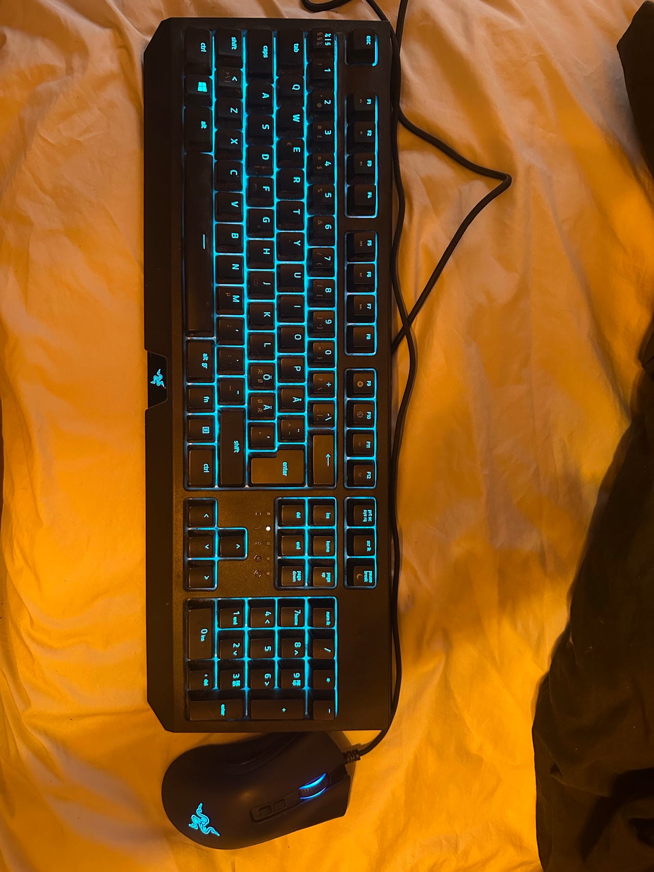 Razer DeathAdder V2 gamingmus + Razer Blackwidow mekanisk RGB-gaming ...