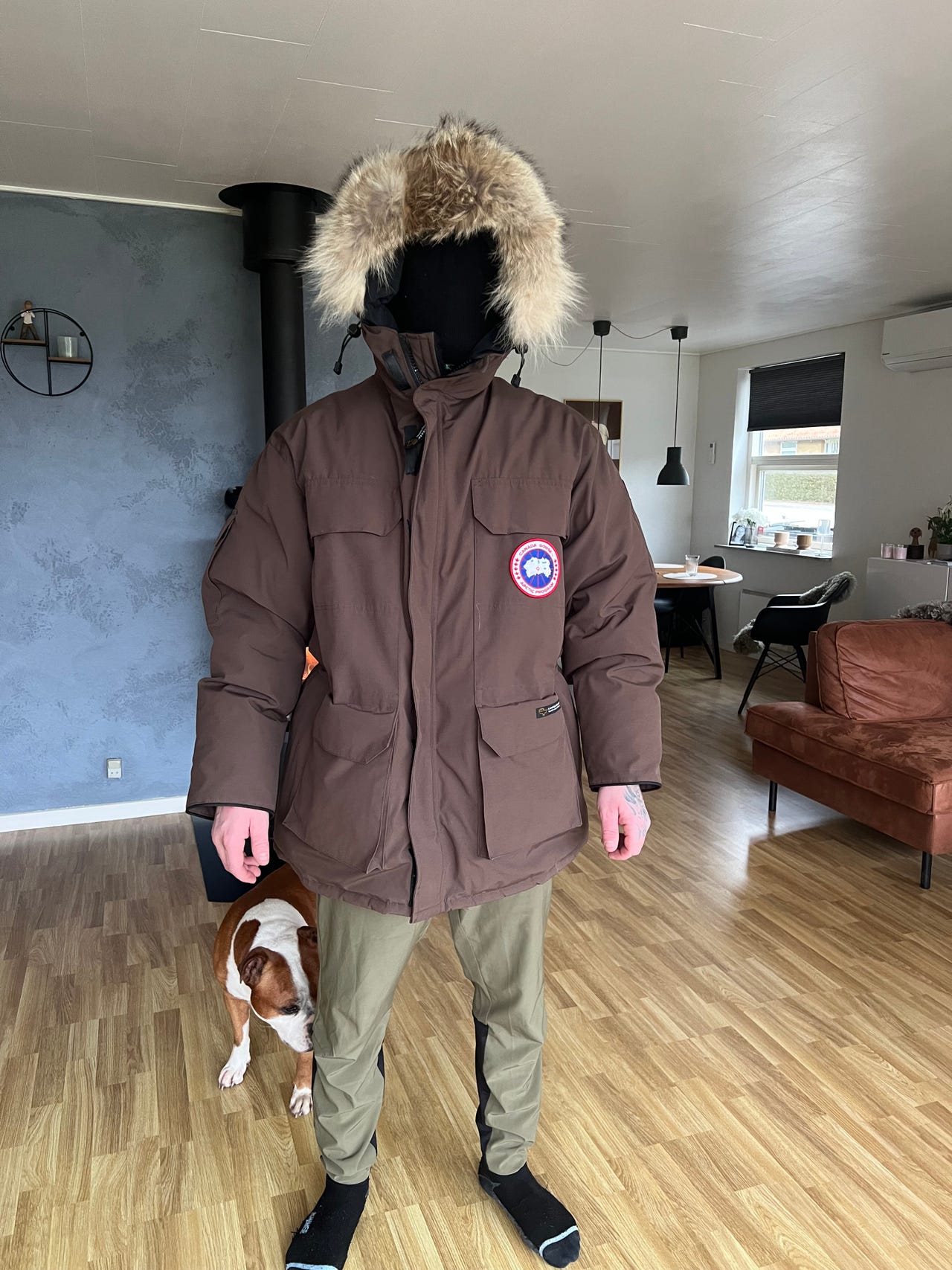 Canada goose | DBA