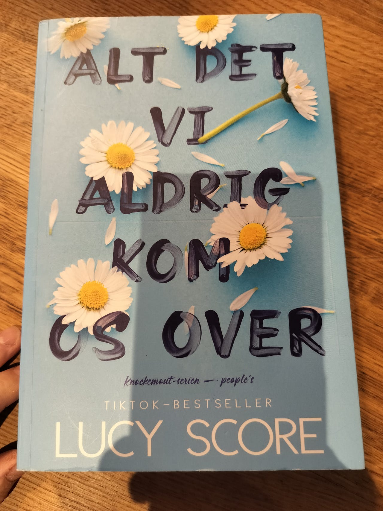 Lucy Score Alt det vi aldrig kom os over | DBA