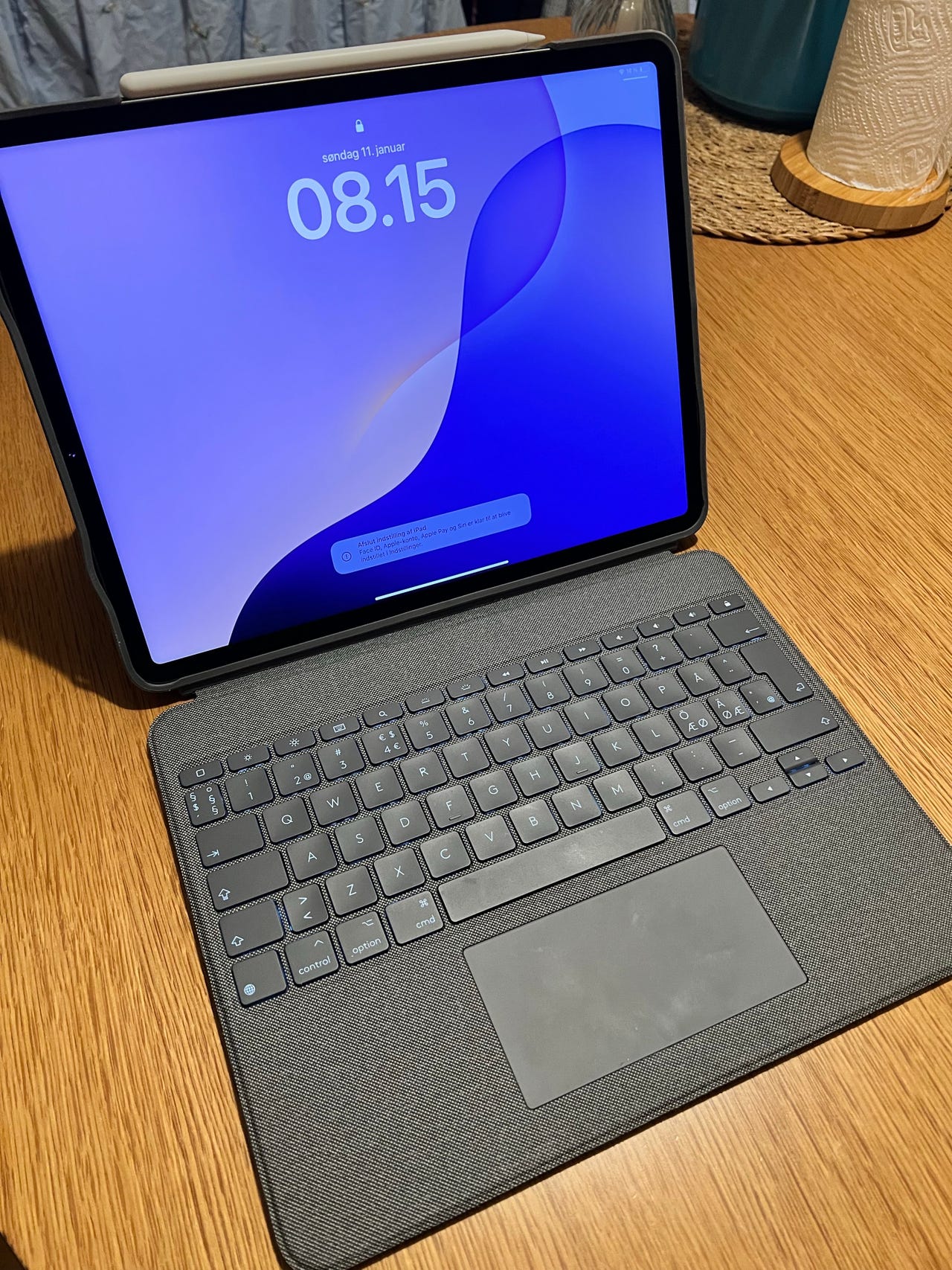 Apple iPad 256 GB tablet | DBA