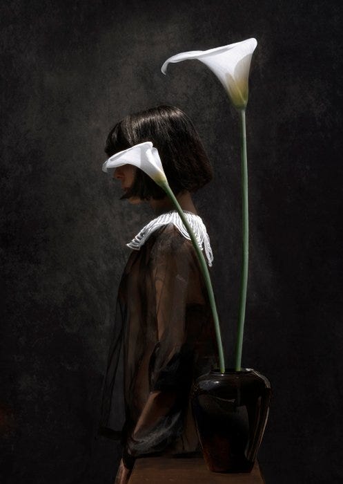 Tatiana Cardellicchio - #27- Pressure of petals | DBA