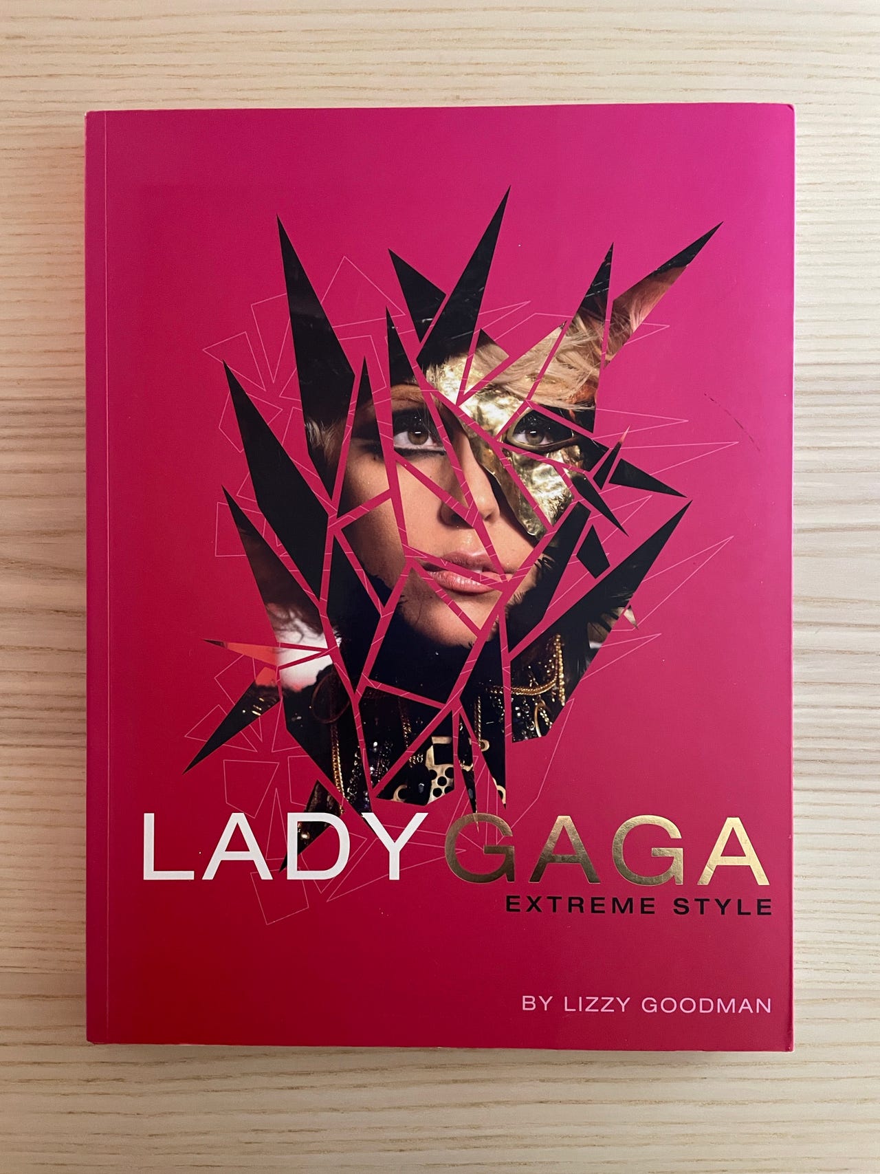 Lady Gaga Extreme Style Bog | DBA