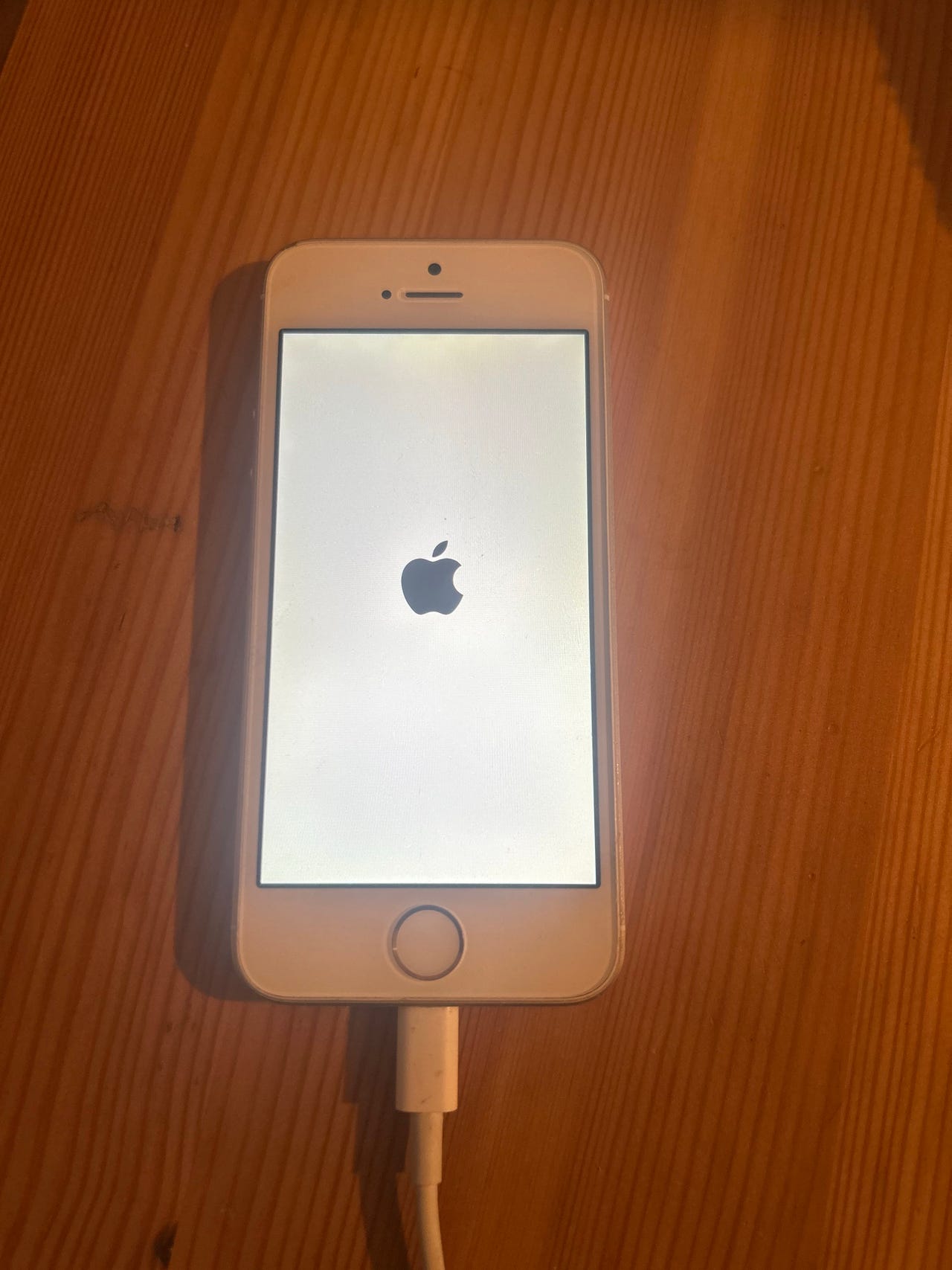Apple iPhone SE (1. generation) smartphone 64 GB hvid | DBA