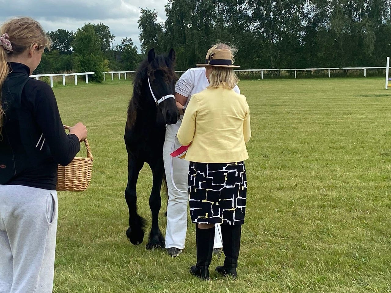 Skøn fell pony vallak | DBA