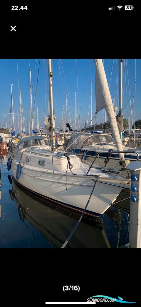 Hallberg Rassy sejlbåd - 27 brugte Hallberg Rassy sejlbåde til salg | DBA