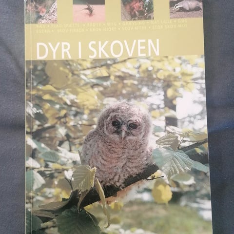 Danmarks skove, emne: biologi og botanik | DBA