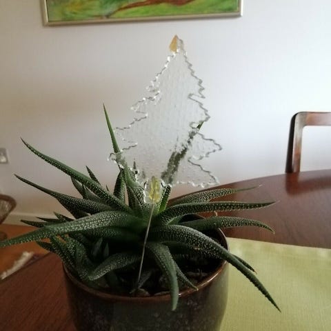 Glas juletræ med pynt | DBA