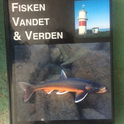 FISK. FISKEBEN. Skål. Asiet. Porcelæn. B&G | DBA