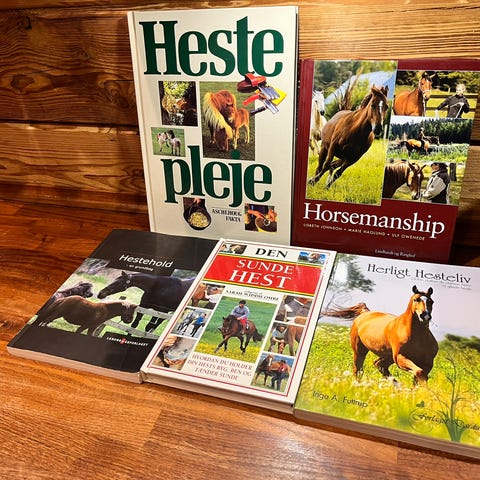 Min Heste & Pony Bog og Hvalpens første år bøger | DBA