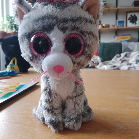 ty bamse beanie boos kiki kat 40 cm | DBA