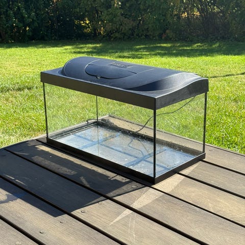 Akvarium med alt udstyr + levende fisk | DBA