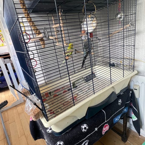 2 stk undulater + bur | DBA