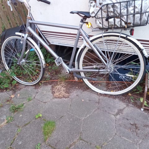 Mand cykler | DBA