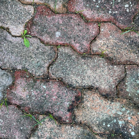 Gratis røde fliser | DBA