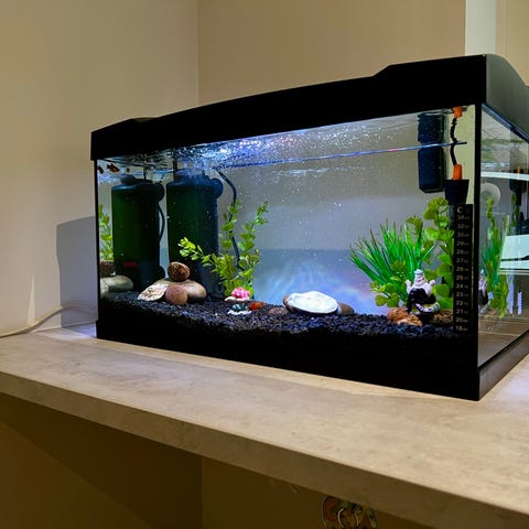 54L Akvarie med nyt LED Lys og mulighed for egen indretning samt ...
