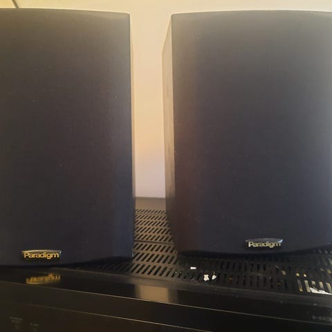 Paradigm Monitor 7v6 - anden højttaler | DBA