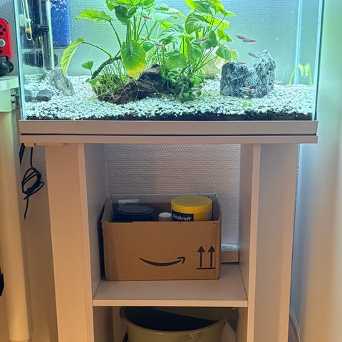 70L Akvarie med alt i udstyr, fisk, planter og møbel | DBA