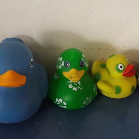 Bath ducks, looking for a new home-- 10 stk | DBA