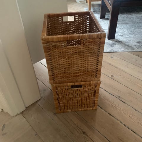 Kurve søgræs | DBA