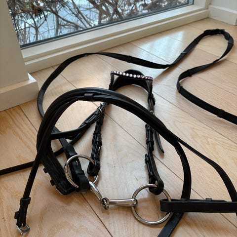 Helt ny Trense str. pony med to pandebånd | DBA