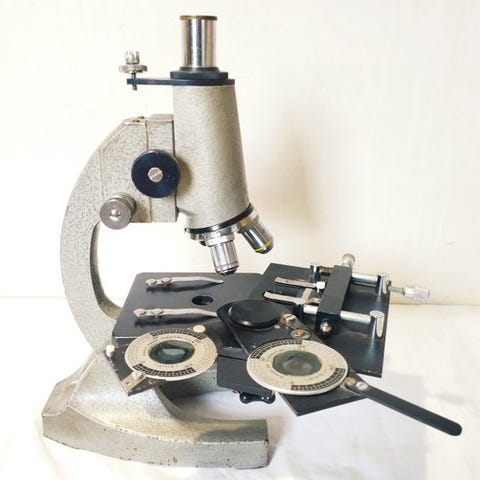 Binocular microscope - NT-6V/10W - 1990-2000 - Tyskland - Carl Zeiss | DBA
