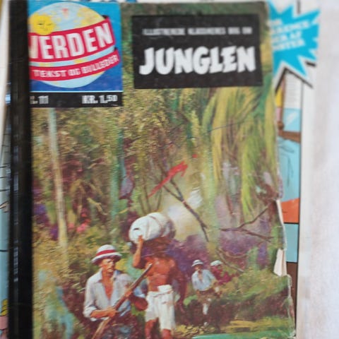 Verden i tekst og billeder nr. 13 | DBA