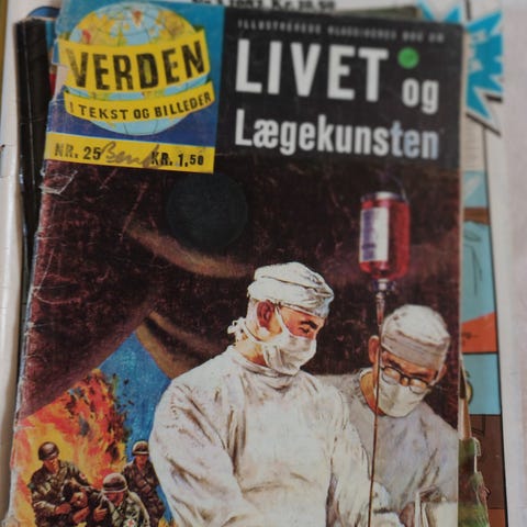 Verden i tekst og billeder nr. 13 | DBA