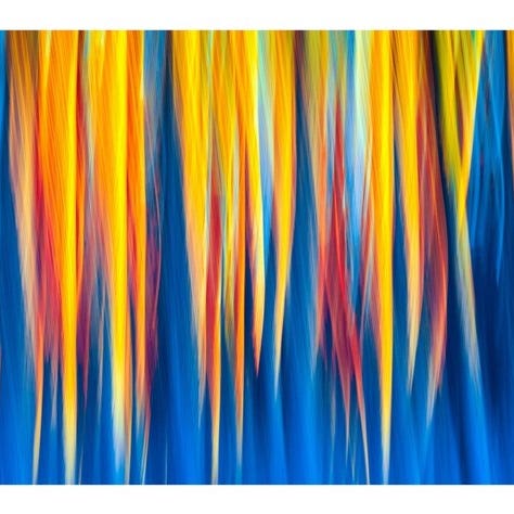 Jeffrey Van Daele - Crimson Elegance | DBA