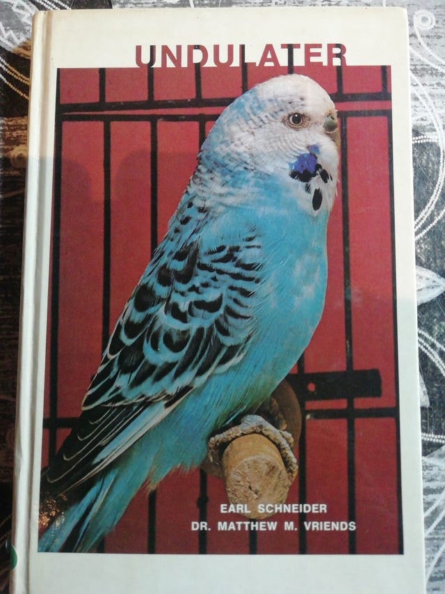 Undulater | Til salg | DBA