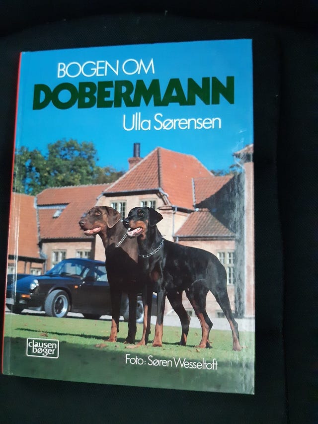 Doberman | Dyr og udstyr | Til salg | DBA