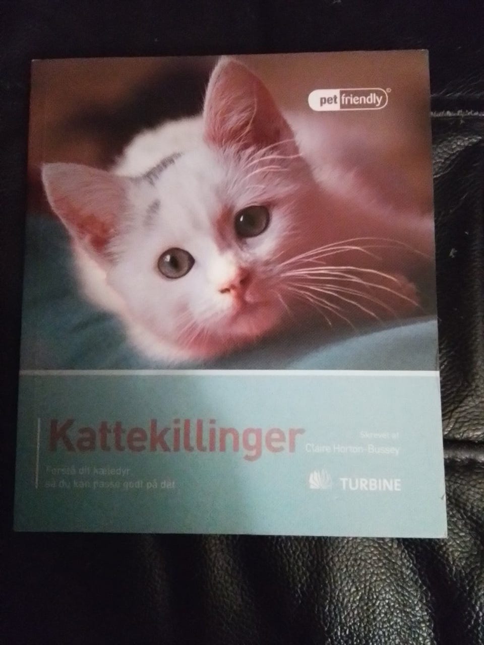 Kattekillinger | Til salg | DBA